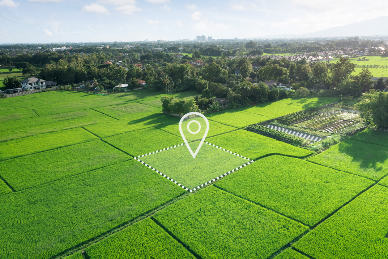 Exploring Profitable Land Use Options: A Guide for Landowners - RentRedi